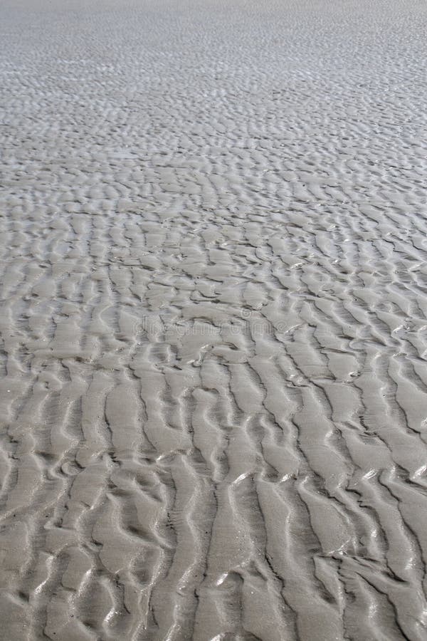 Rippled Sand at the Morning Stock Image - Image of weathered, curve ...