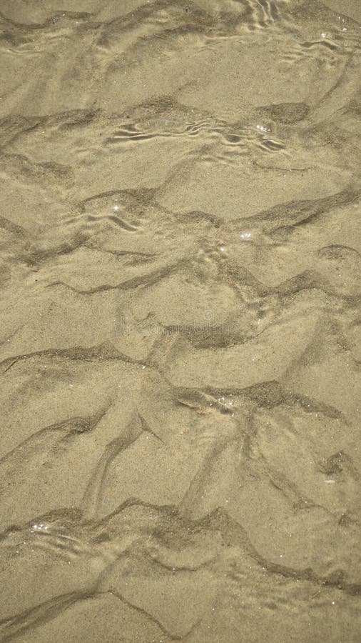 Rippled Sand and Clear Shallow Sea Water Texture Abstract Beach ...