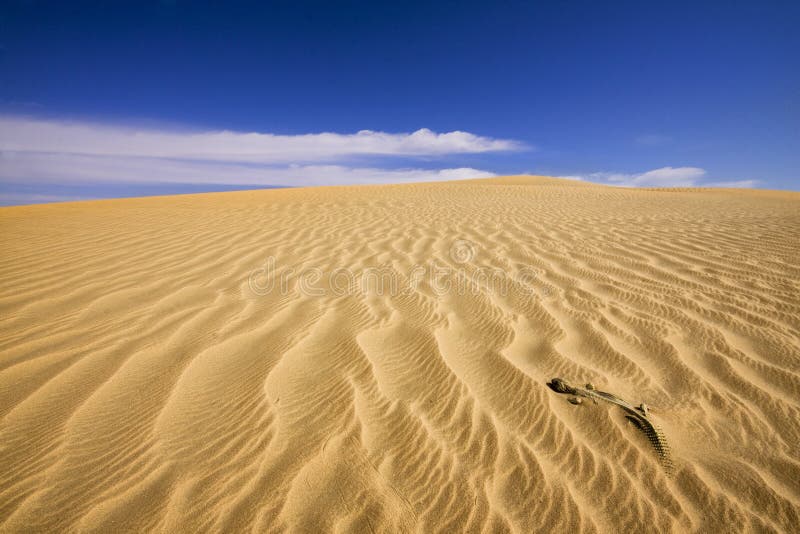 Rippled sand stock photo. Image of outdoors, sandy, pattern - 14369752