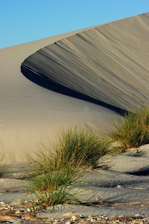 4,460 African Sand Texture Stock Photos - Free & Royalty-Free Stock ...