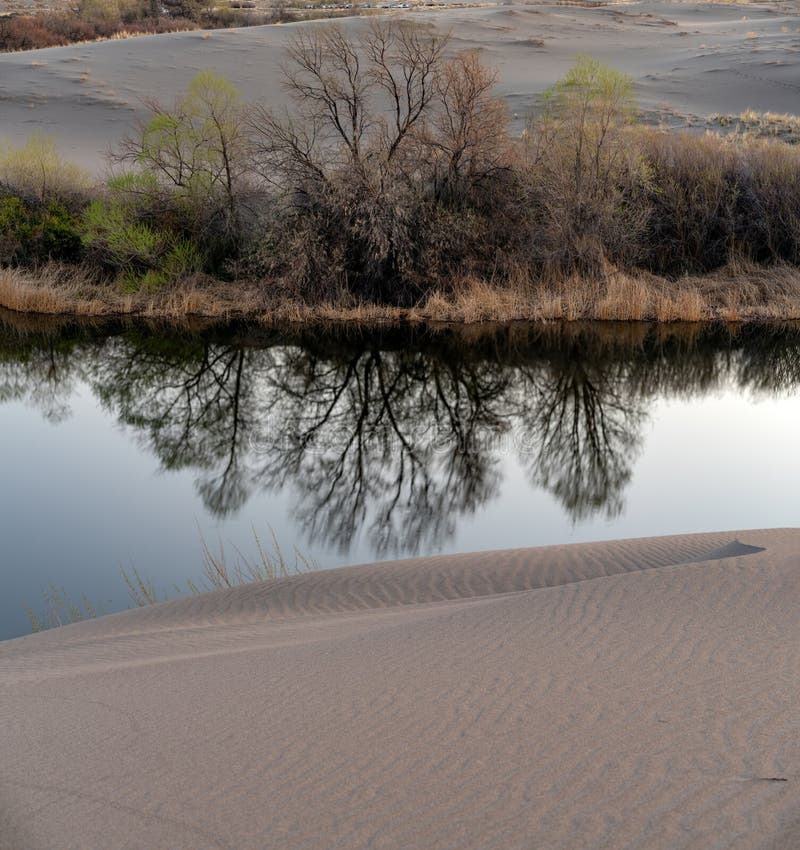 Rippled Sand Dunes and Lake Water Reflection Stock Photo - Image of ...