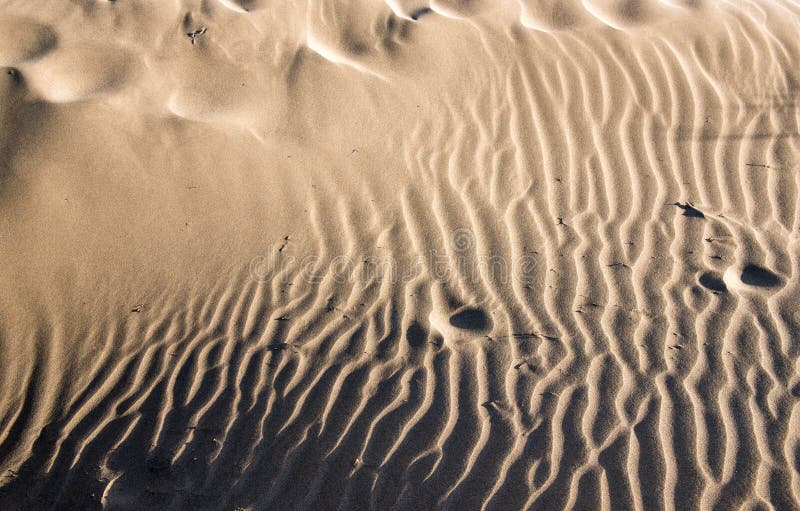 Rippled sand stock image. Image of nature, background - 51578619