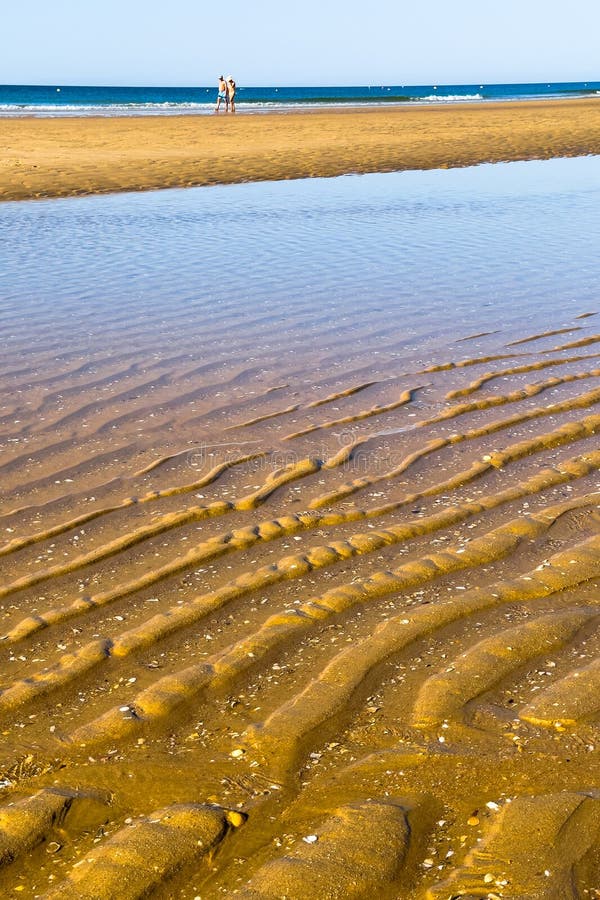 Tidal Grooves Forming Textured Ridges on a Sandy Beach with a Calm ...