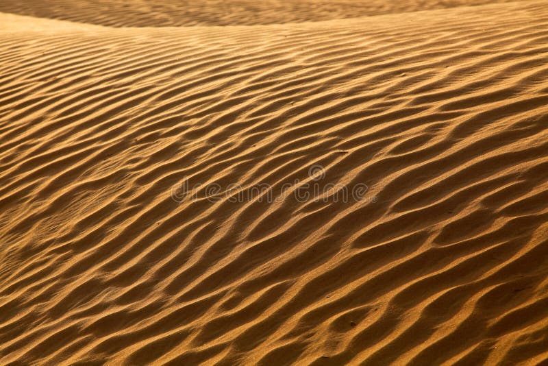 Rippled Sand Waves in the Desert Stock Image - Image of terrain ...