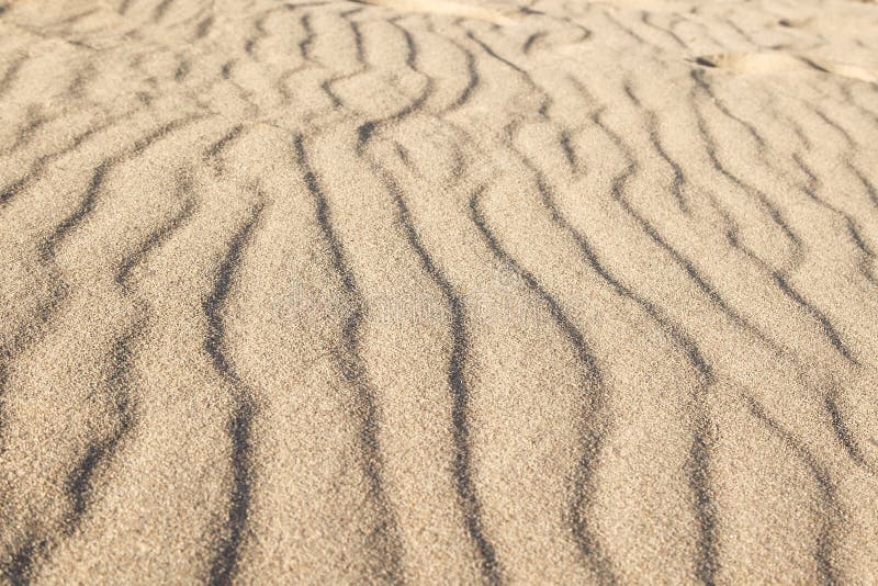 Rippled Small Sand on Sea Coast. Dunes on Beach Formed by Wind and ...