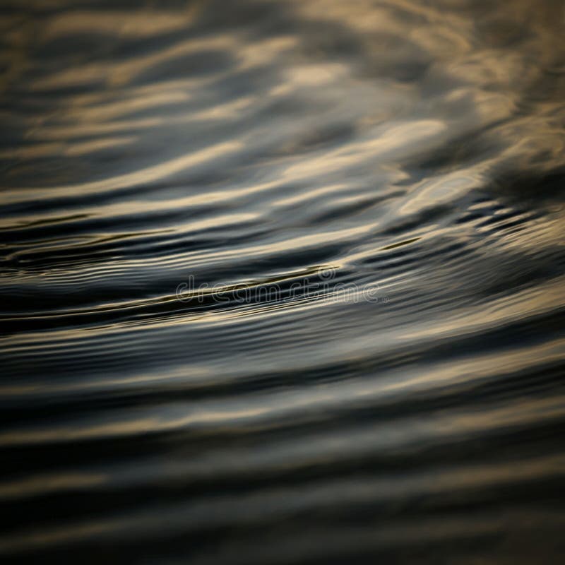 Rippled Water Surface Reflecting Golden Light. the Image Captures Soft ...