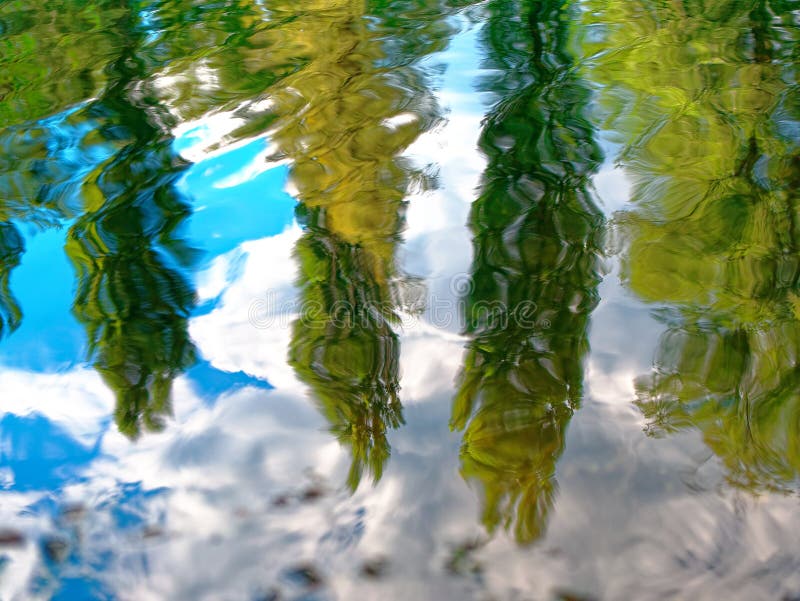 Rippled Water Surface with Trees Reflection. Abstract Background ...