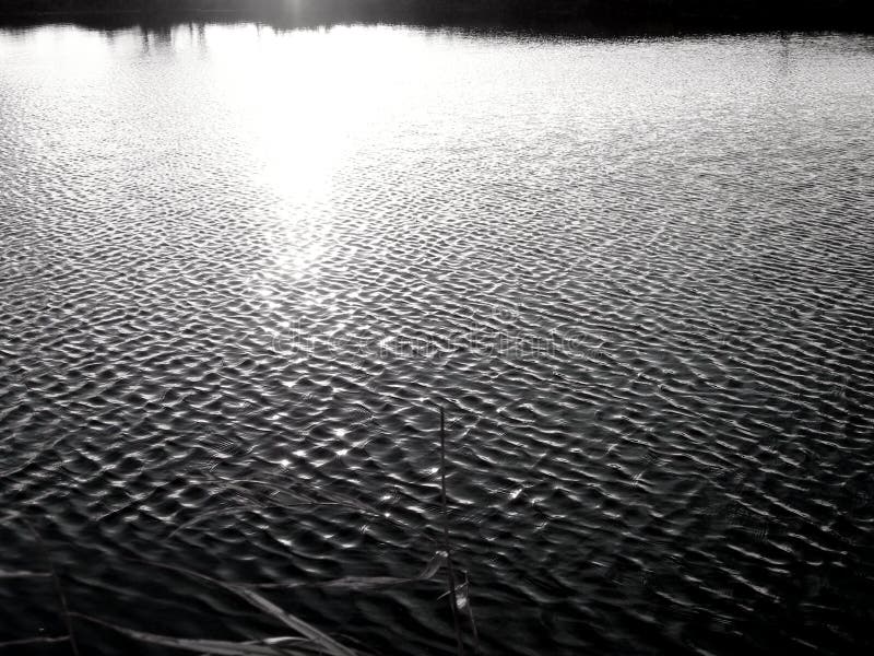 Ripples B&W stock image. Image of wave, waves, creek - 1944571