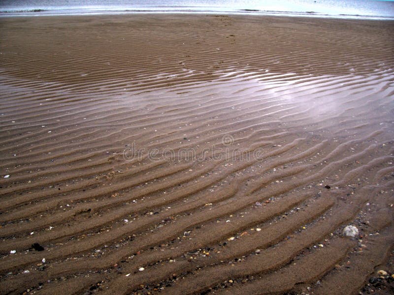 Ripples stock photo. Image of shells, sand, beach, ripples - 38702214