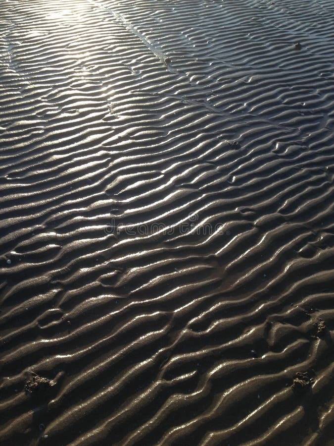 Wet sand on beach stock image. Image of sandy, ripples - 51545017