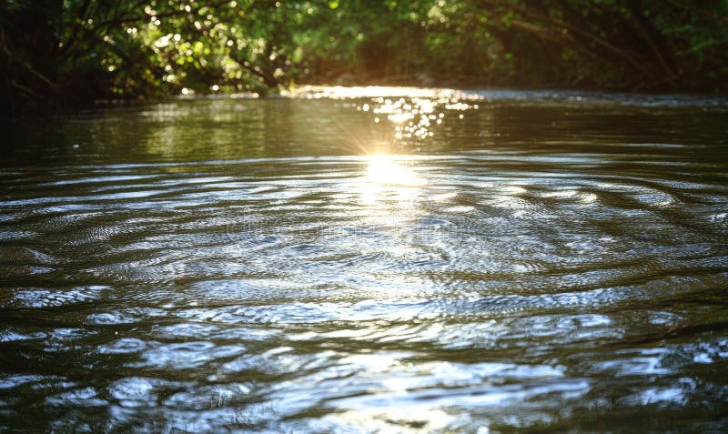 Ripples on a Calm River, Sunlight Casting Shimmering Reflections Stock ...