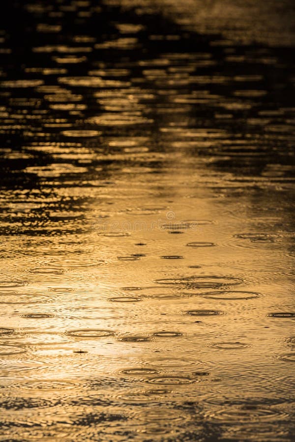 Ripples Created by Falling Rain in a Wild River Stock Image - Image of ...