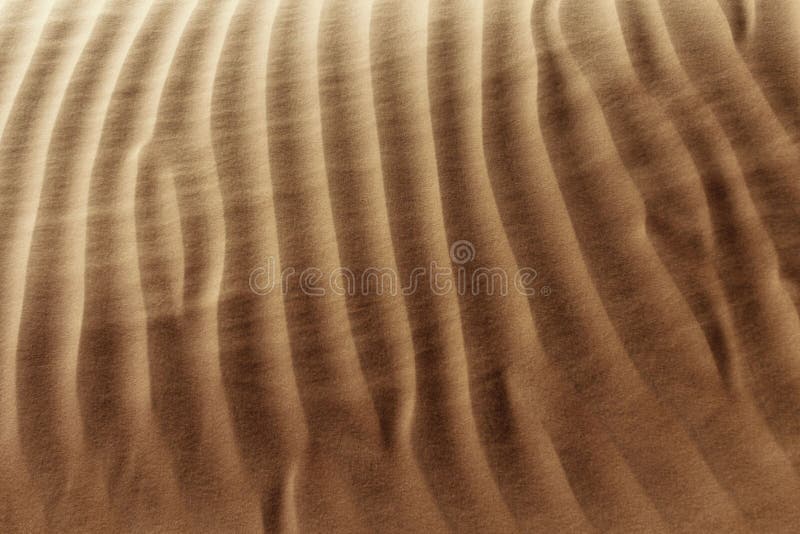 Ripples of a desert dune stock photo. Image of rough - 105475944