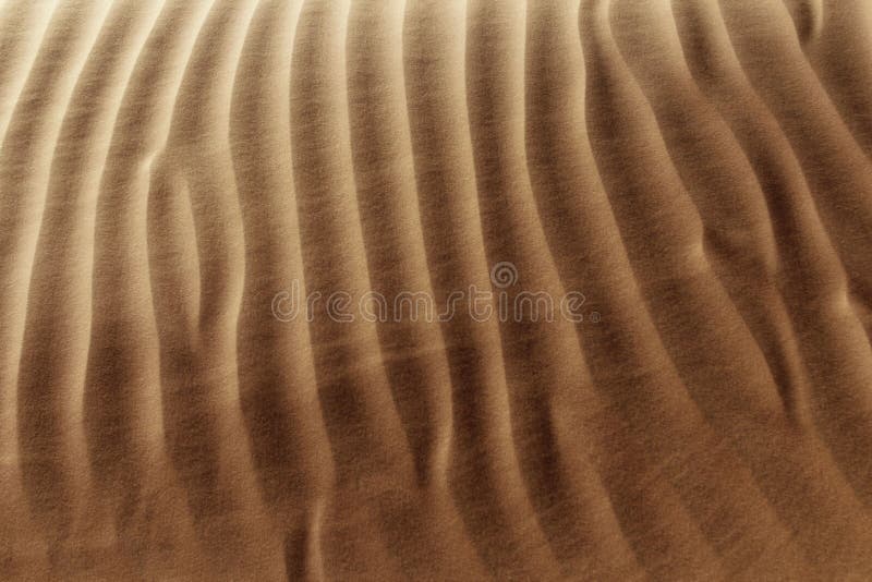 Ripples of a desert dune stock image. Image of climate - 105475405