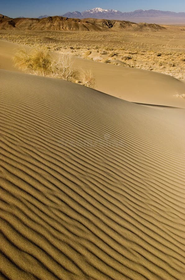 Ripples on Desert Sand Dunes Stock Image - Image of outside, relief ...