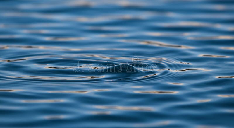 Ripples Form on the Surface of a Body of Water, Creating Circular Waves ...