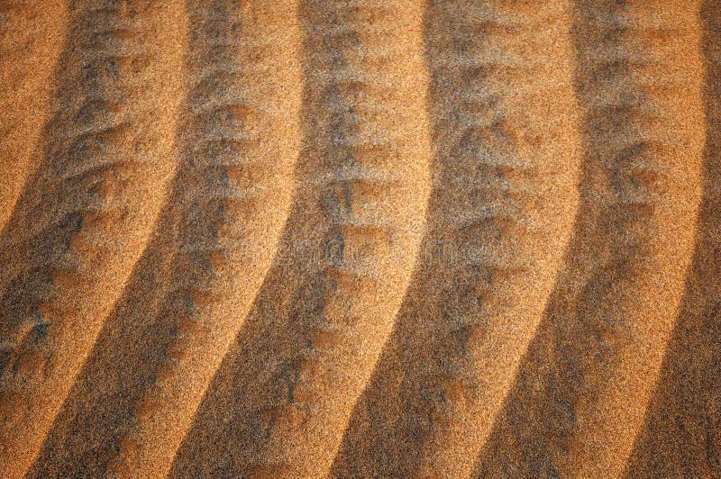 Ripples in the golden sand stock photo. Image of beach - 154665722