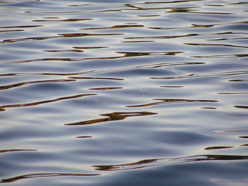 Ripples in lake stock image. Image of reflection, ripples - 5856487