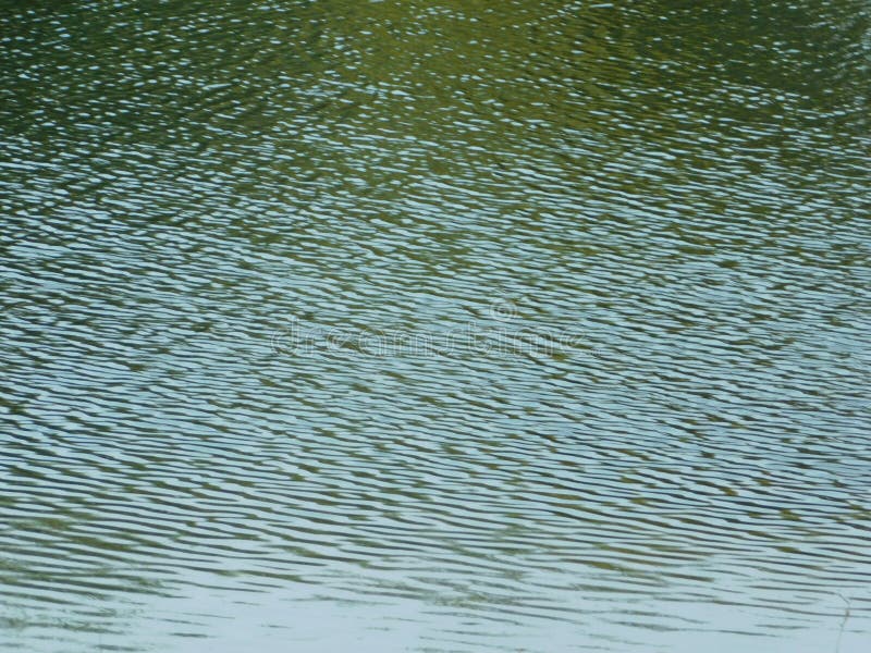 Ripples on the Lake Under the Sun Stock Photo - Image of grassunder ...