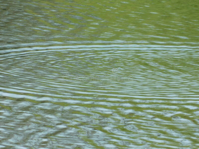 Ripples on the Lake Under the Sun Stock Photo - Image of ornamental ...
