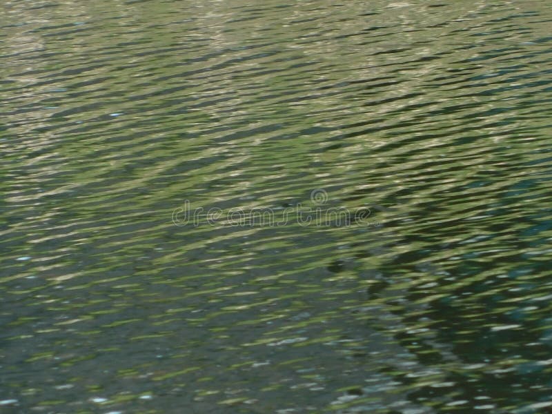 Ripples on the Lake Under the Sun Stock Image - Image of blossoms ...