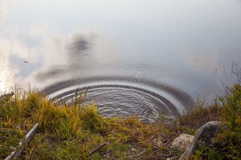 Throwing Stone Water Ripple Stock Photos - Free & Royalty-Free Stock ...