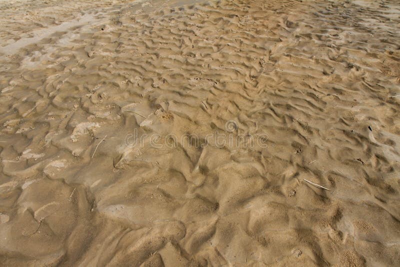 Ripples left in sand stock image. Image of dune, beach - 216998291