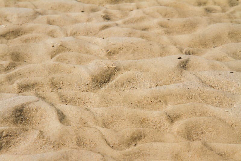 Ripples left in sand stock photo. Image of background - 217027552