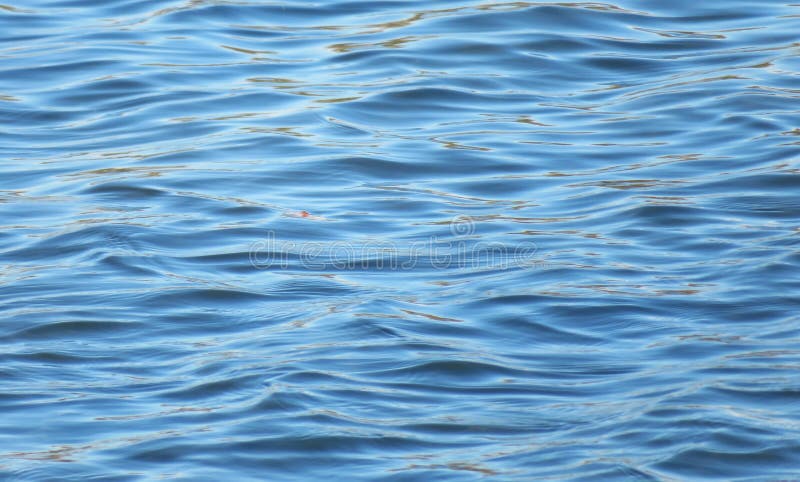 Ripples on Light Blue Water Surface Stock Photo - Image of florida ...