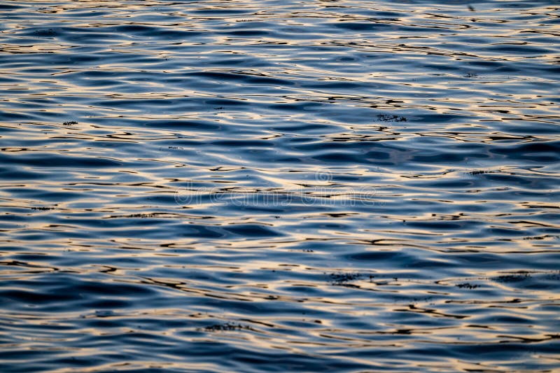 Ripples Navy Blue Water Evening Stock Photos - Free & Royalty-Free ...
