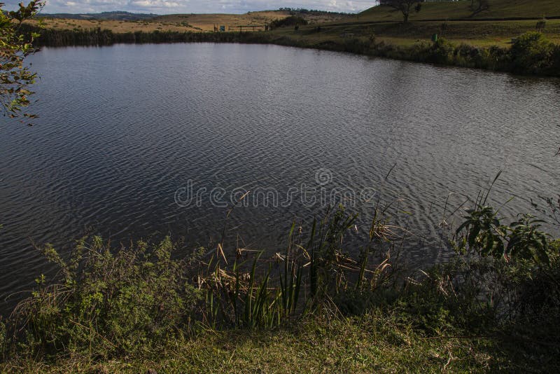 Ripples on Pond Surface Caused by Blowing Wind Stock Image - Image of ...