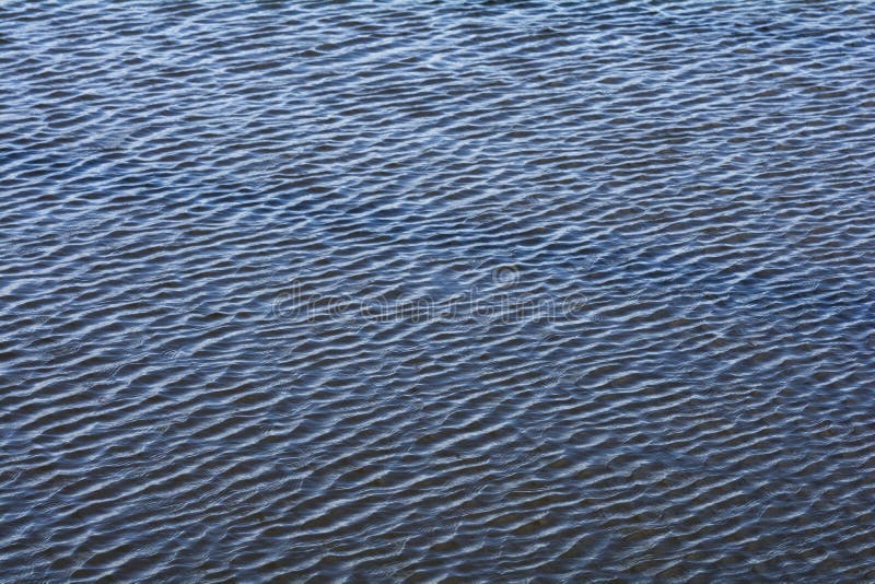 Ripples in puddle stock image. Image of ripple, swamp - 67246249