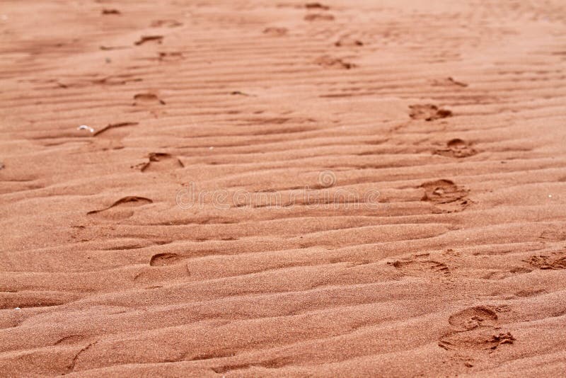 Ripples in red beach sand stock photo. Image of rough - 81300340