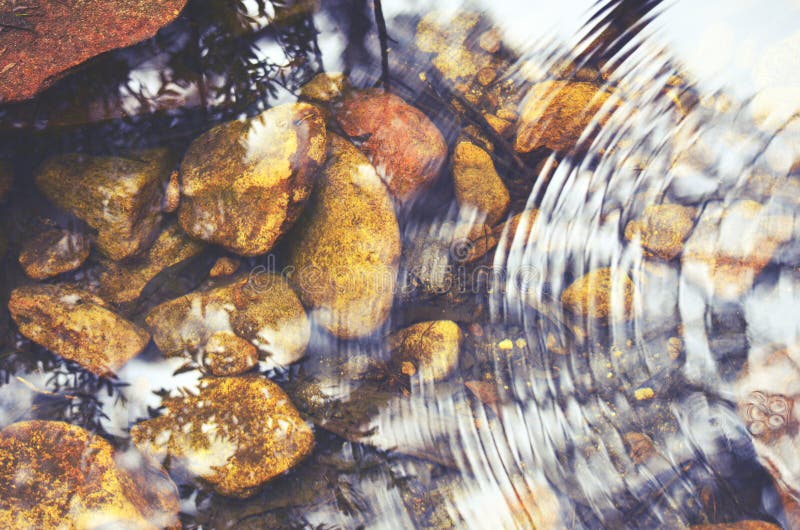 Ripples and Reflections in a Pebbled Stream Stock Image - Image of ...