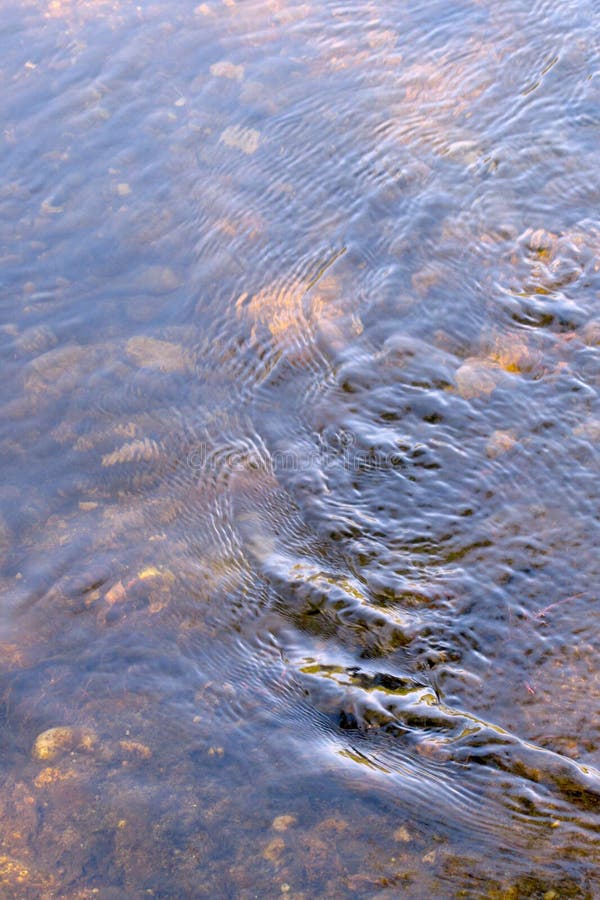 Ripples in the River stock image. Image of golden, gold - 92487643