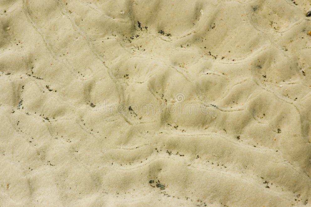 Ripples in the sand stock photo. Image of ridges, tropical - 1327370