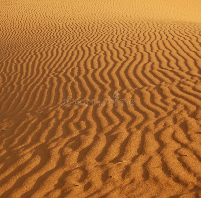 Desert patterns stock photo. Image of ripple, ripples, shadow - 551288