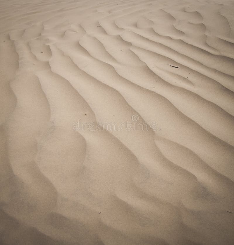 Ripples in the sand stock photo. Image of landscape, erosion - 17256406