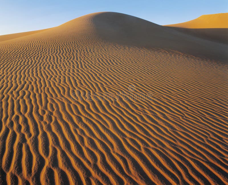 Sand ripples in desert USA stock image. Image of dune - 30850211