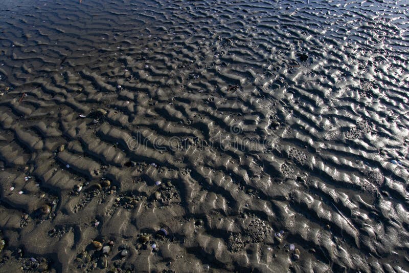 Ripples in the Sand on the Beach Stock Image - Image of nature, beach ...
