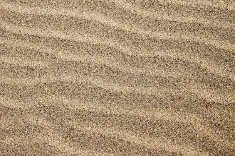 Ripples in Sand on Beach stock photo. Image of grit - 366649146