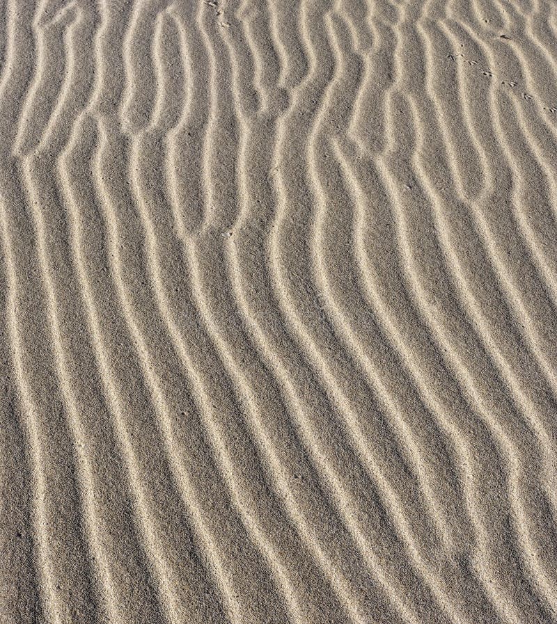 Sand dune ripples stock photo. Image of desertification - 246316744