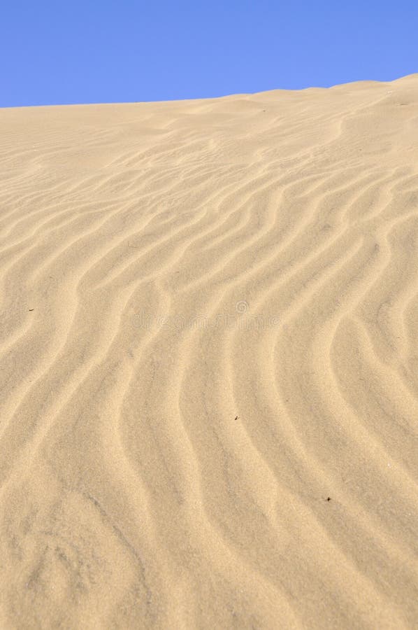 Ripples on a sand dune stock photo. Image of landscape - 39581412