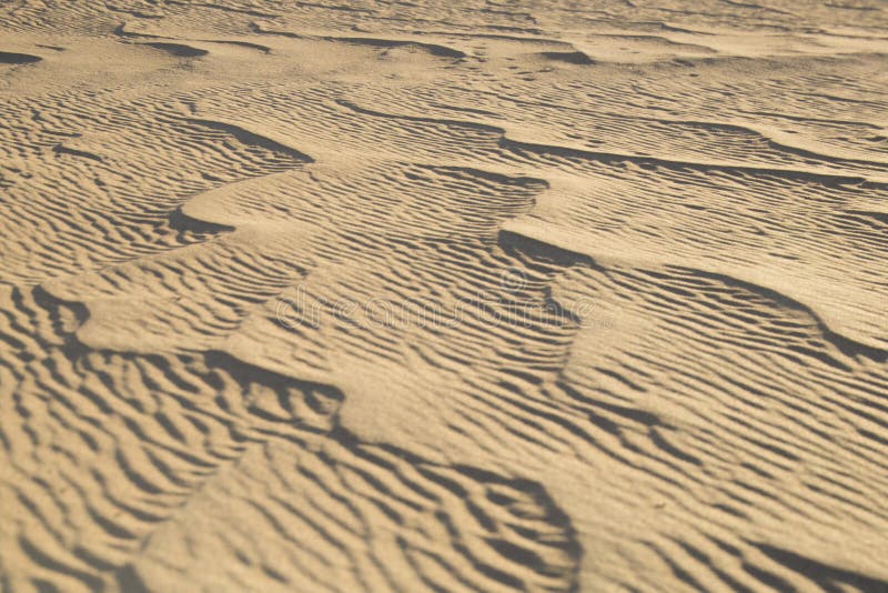 Ripples in the sand. stock image. Image of naukluft - 145631963