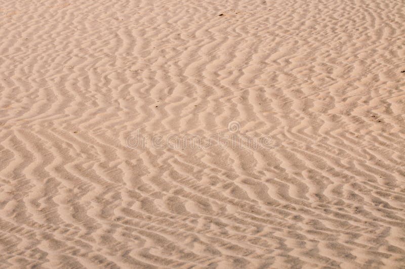 Golden Sand Ripples on the Beach Stock Photo - Image of coast, desert ...
