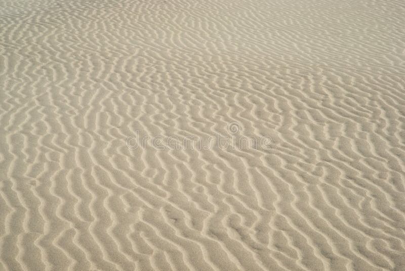 Ripples in sand dunes stock photo. Image of sandy, golden - 82294346
