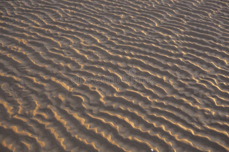 Sunset Sand ripples stock photo. Image of reflection - 132012654