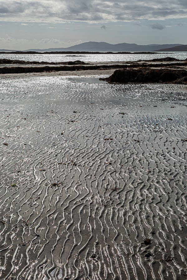 Low Tide at the Beach stock image. Image of physical - 121516799