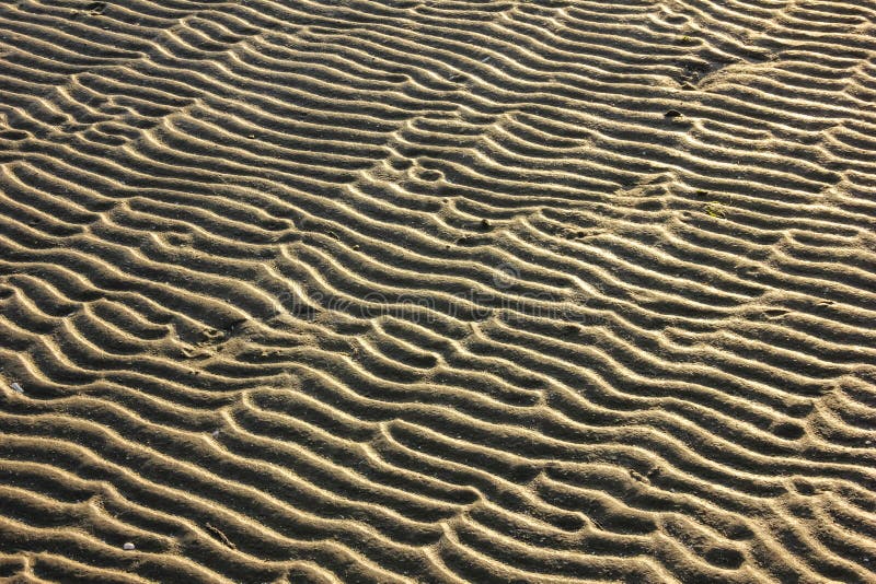 Ripples in the Sand Create Patterns and Textures in the Sand Dunes ...