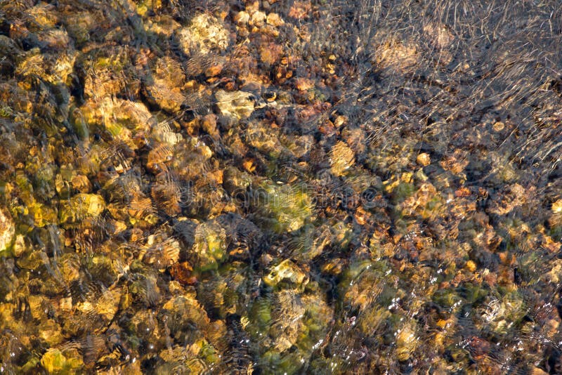 Ripples stock image. Image of shallow, water, waves, ripples - 52470081